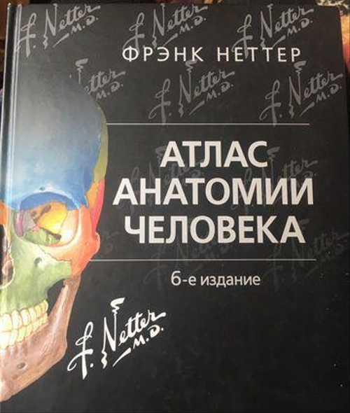 Неттер атлас анатомии. Атлас по анатомии Фрэнк Неттер. Неттер ф. «атлас анатомии человека», 2007;. Атлас анатомии человека Фрэнк Неттер 4 издание. Фрэнк неттер