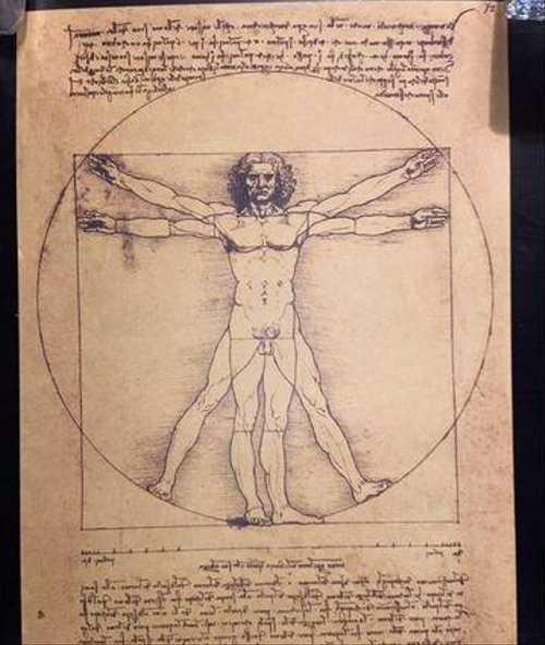 Постер с рисунком Леонардо Да Винчи «Витрувианский