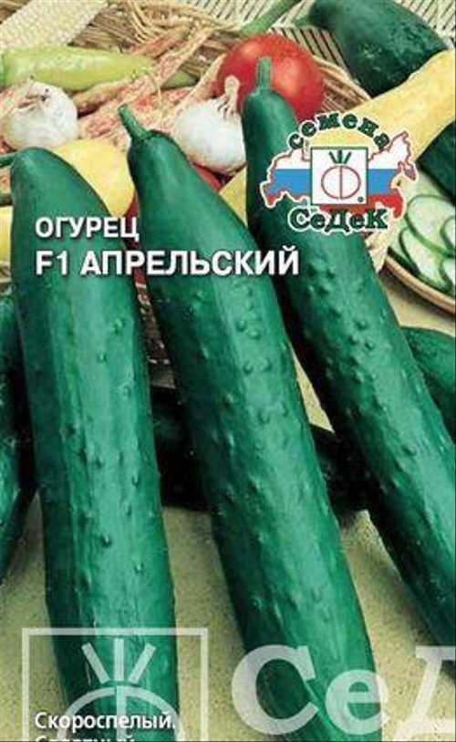 Рассада огурцов: Апрельский, Бетховен и др