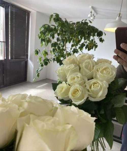 Белые розы. 11 роз. 15 роз. Крупный бутон
