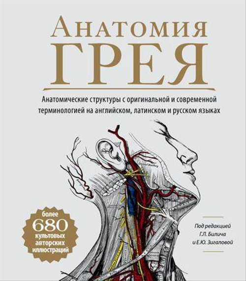 Книга Анатомия Грея