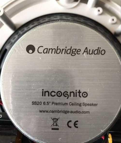 Динамик Incognito SS20 6.5 Cambridge Audio