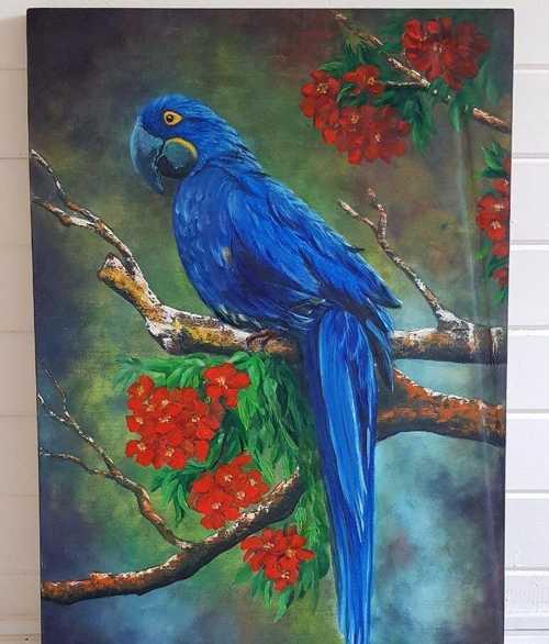 Картина Экзотический попугай