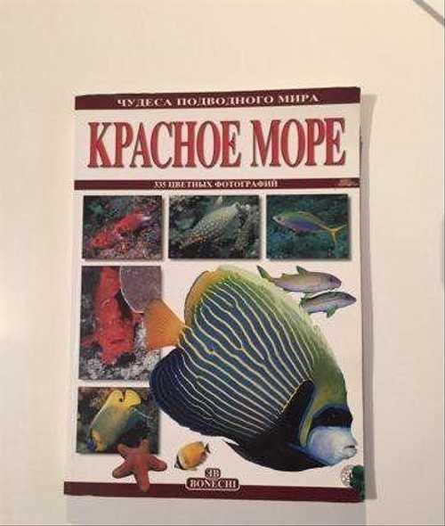 Книга Красное море Андреа Гизотти 335 цв. фото