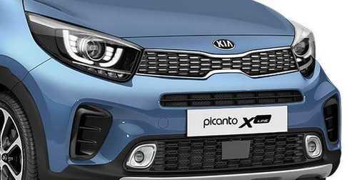 Защитная сетка радиатора KIA picanto