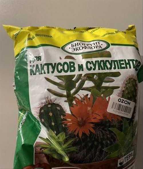 Грунт для кактусов и суккулентов