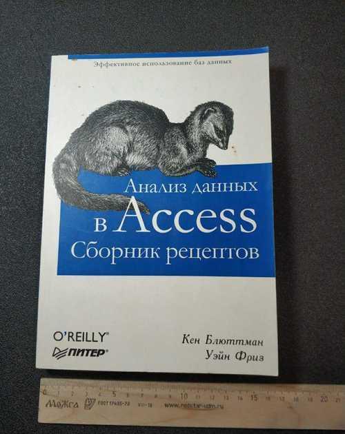 Книга Анализ данных в Access. Блюттман