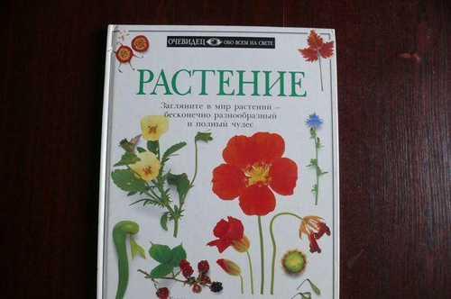 Очевидец Обо всем Птица Растение Камни Мине Погода