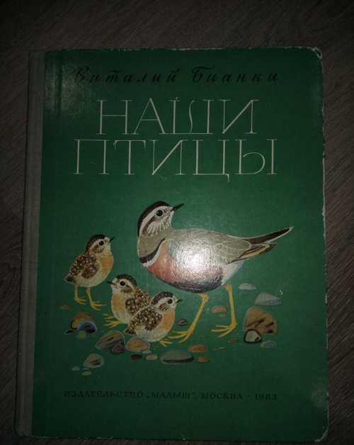 Расскажите птицы авторы. Книга Бианки наши птицы. Бианки наши птицы 1983. Опознаватель птиц на воле Бианки обложка. В Бианки Лесные домишки рисовать.