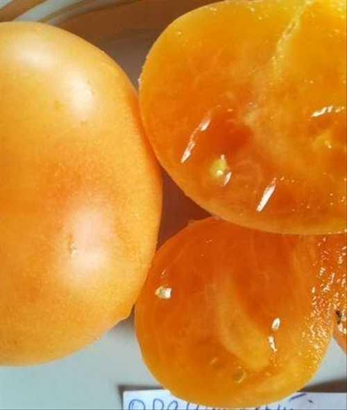 Семена томатов Гном оранжевый крем
