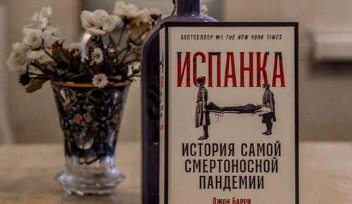 Замечательная книга Испанка: История самой смертон