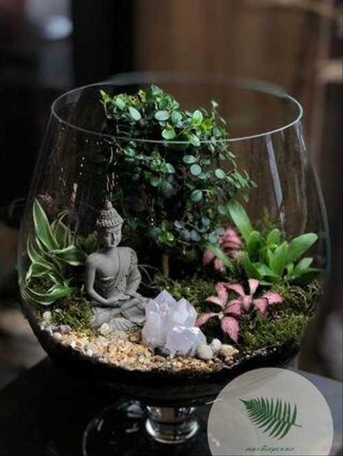 Флорариум открытый с бонсаем и статуэткой Будды