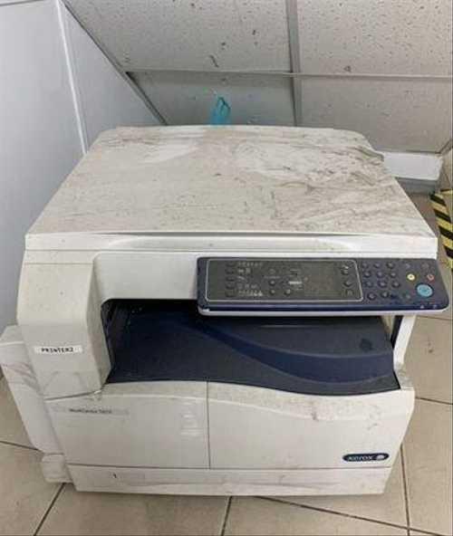 Принтер Work Centre 5019