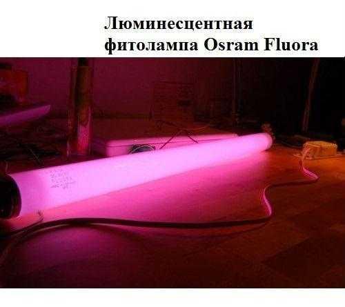 Люминесцентные фитолампа osram (15W, 30W)
