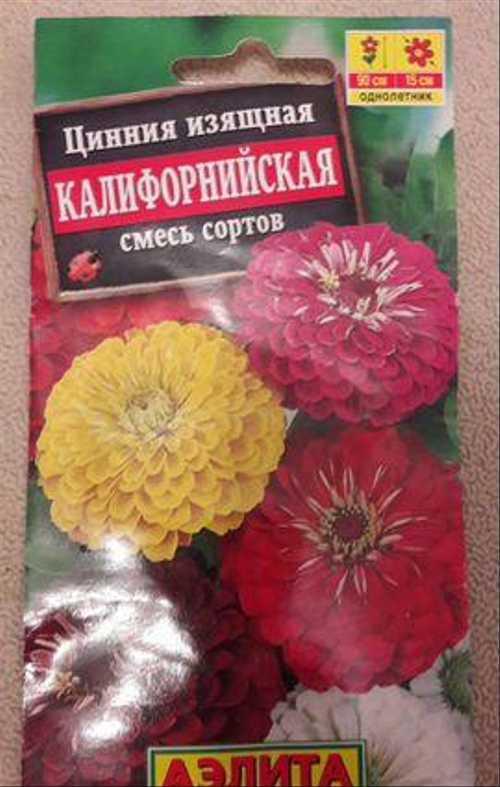 Рассада цинний