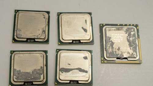 Процессоры Intel xeon для сервера
