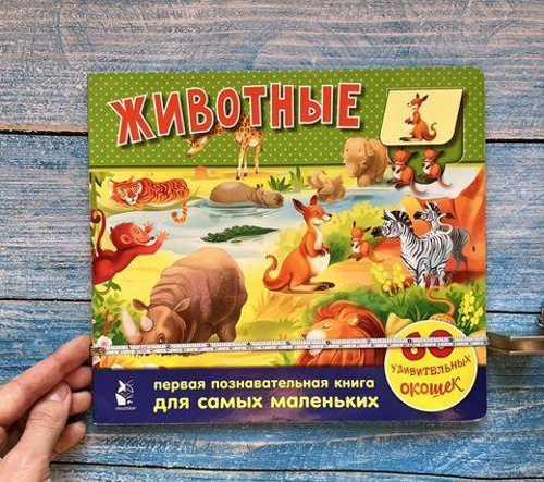 Книжка с окошками