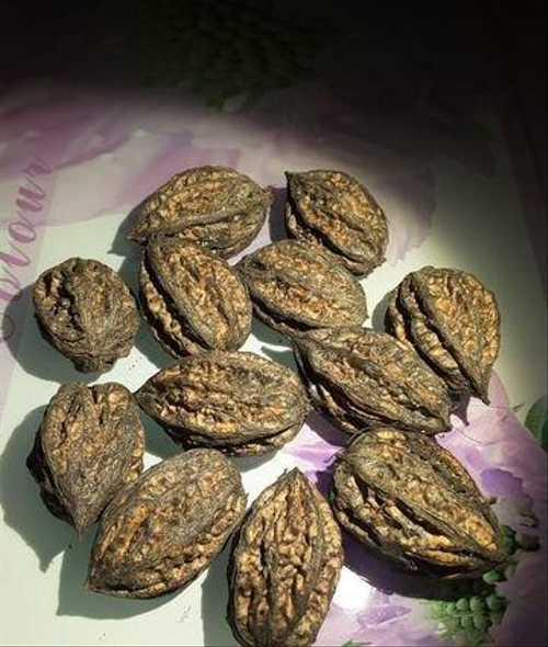 Маньчжурский орех, семена, кг