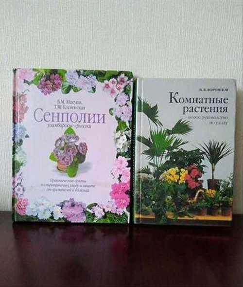 Комнатные растения. Сенполии