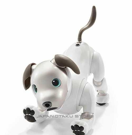 Собака-робот aibo ERS1000 Ivory White