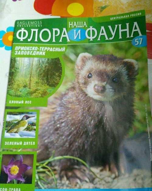 Книги и журнал