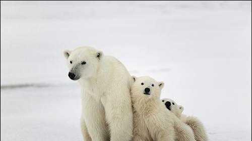 Интерьерная фотокартина, фотопостер