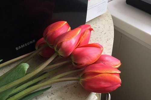 Тюльпаны со своего огорода