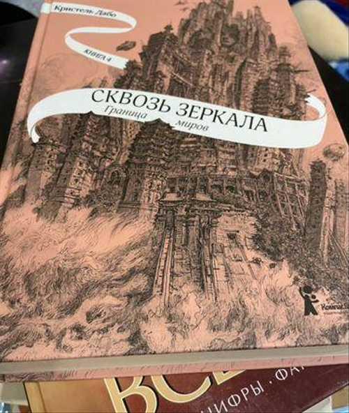 Книга сквозь зеркала