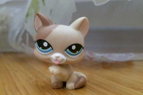 Littlest pet shop
