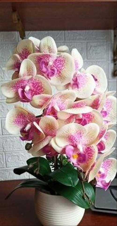 Орхидея фаленопсис. Искусственная композиция