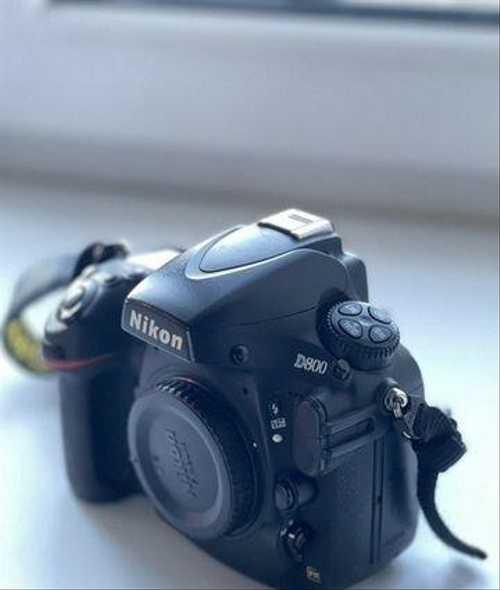 Nikon d800 body