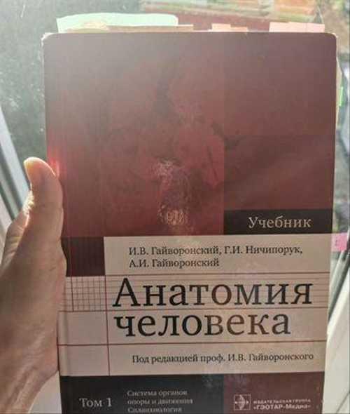 Книга по анатомии (Гайворонский)
