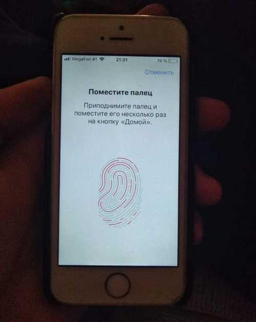 Два iPhone 5S