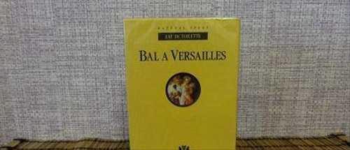 Bal a Versailles Jean Desprez