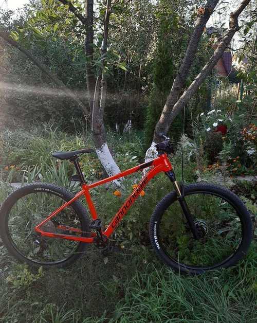 Cannondale trail 5