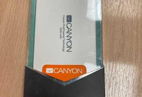 Внешний аккумулятор (Power Bank) Canyon CNS-tpbp5W