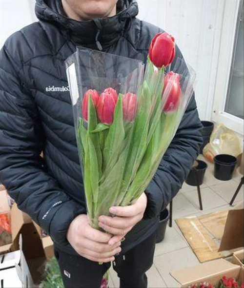 Тюльпаны оптом и в розницу