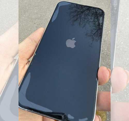 iPhone 13 Pro Max, 256 ГБ