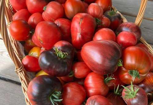 Семена коллекционных сортов томатов и перцев