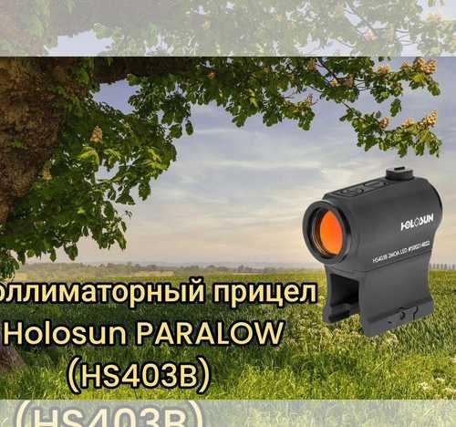 Коллиматорный прицел Holosun paralow (HS403B)