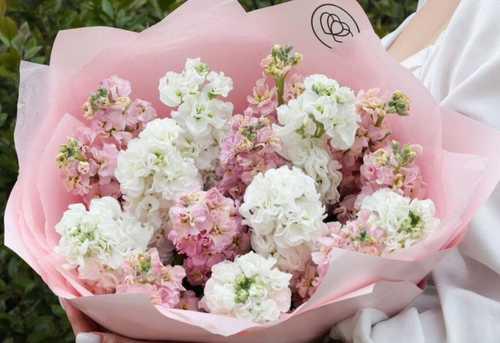 Букет из 15 розовых и белых махровых маттиол
