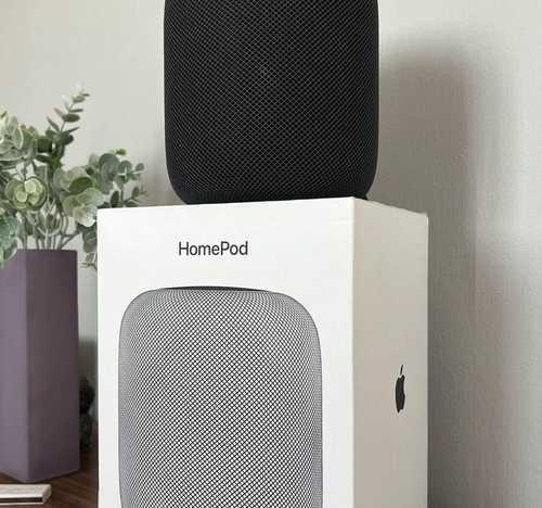 Apple homepod