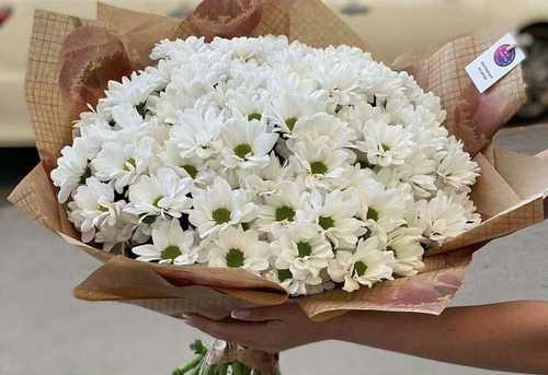 Хризантема Кустовая цветы букеты доставка