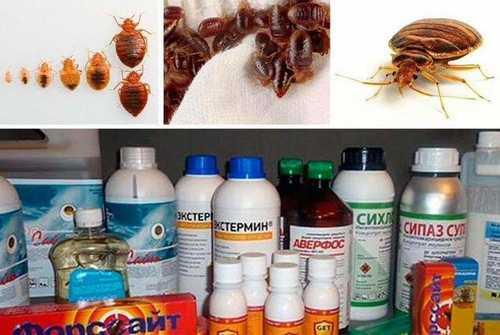 Препараты, химия, средства, от клопов тараканов