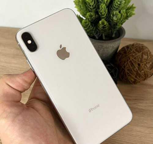 iPhone Xs Max, 256 ГБ