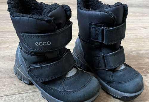 Зимние ботинки ecco biom hike 23