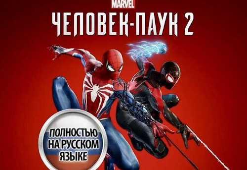 Spider Man 2 Все версии для РФ