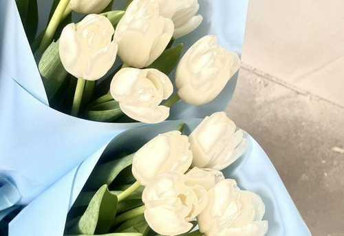 Тюльпаны белые много