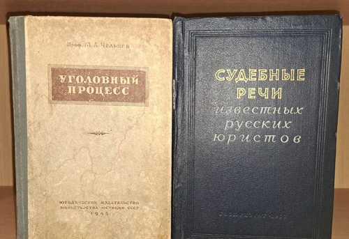 Уголовный процесс. Судебные речи русских юристов