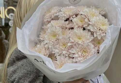 Кустовая хризантема, доставка цветов